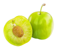 Maple Grove Permaculture